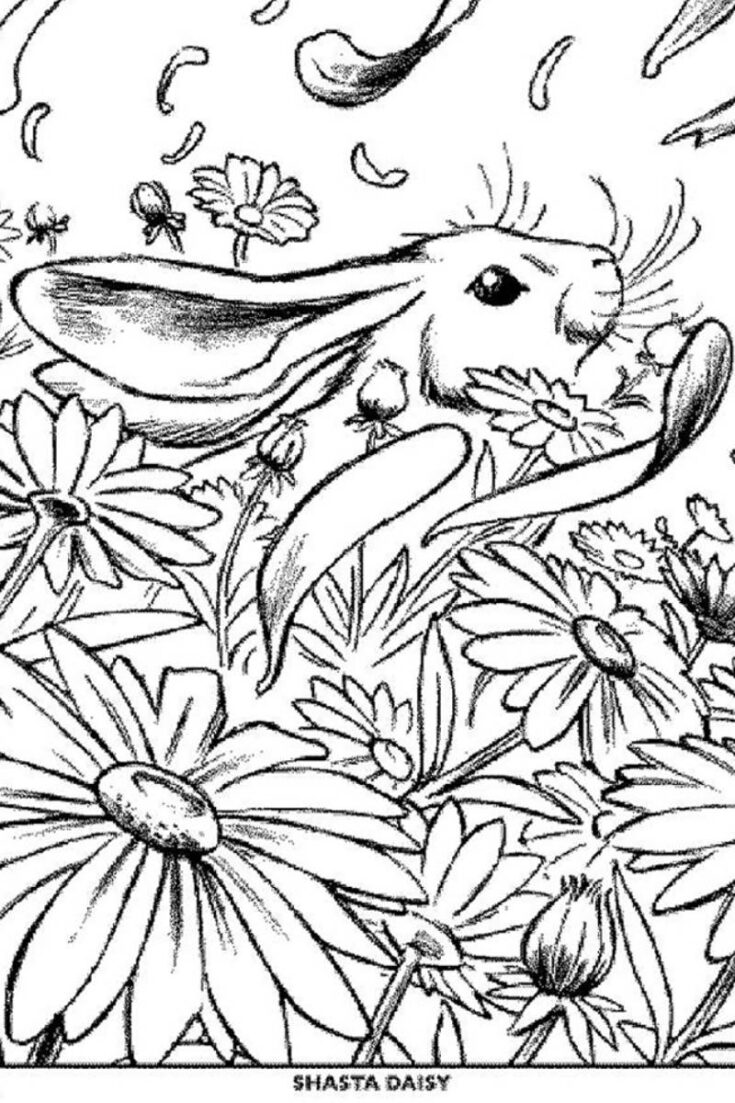 450 Fun And Free Flower Coloring Pages Craft Passion 450 Fun And Free Flower Coloring Pages Craft Passion