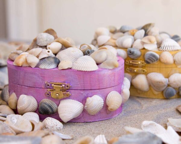 43 Creative Seashell Crafts & Coastal Decors • Craft Passion