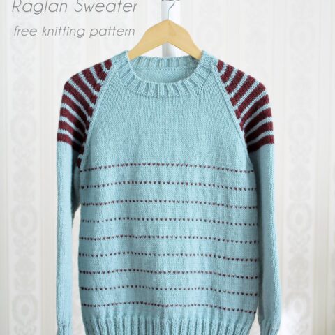 Free Raglan Sweater Knitting Pattern - 6 Sizes • Craft Passion