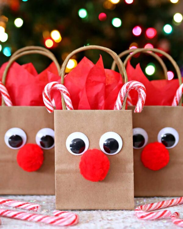 63 Creative Gift Bag Ideas for Every Occasion • Craft Passion