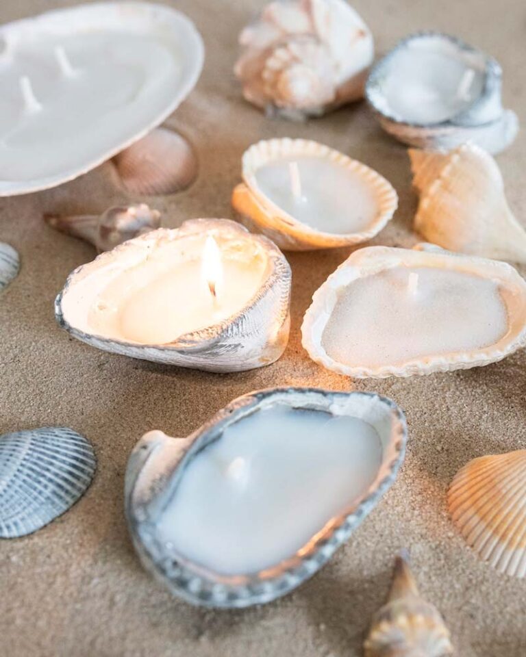 43 Creative Seashell Crafts & Coastal Decors • Craft Passion