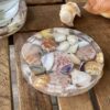 43 Creative Seashell Crafts & Coastal Decors • Craft Passion
