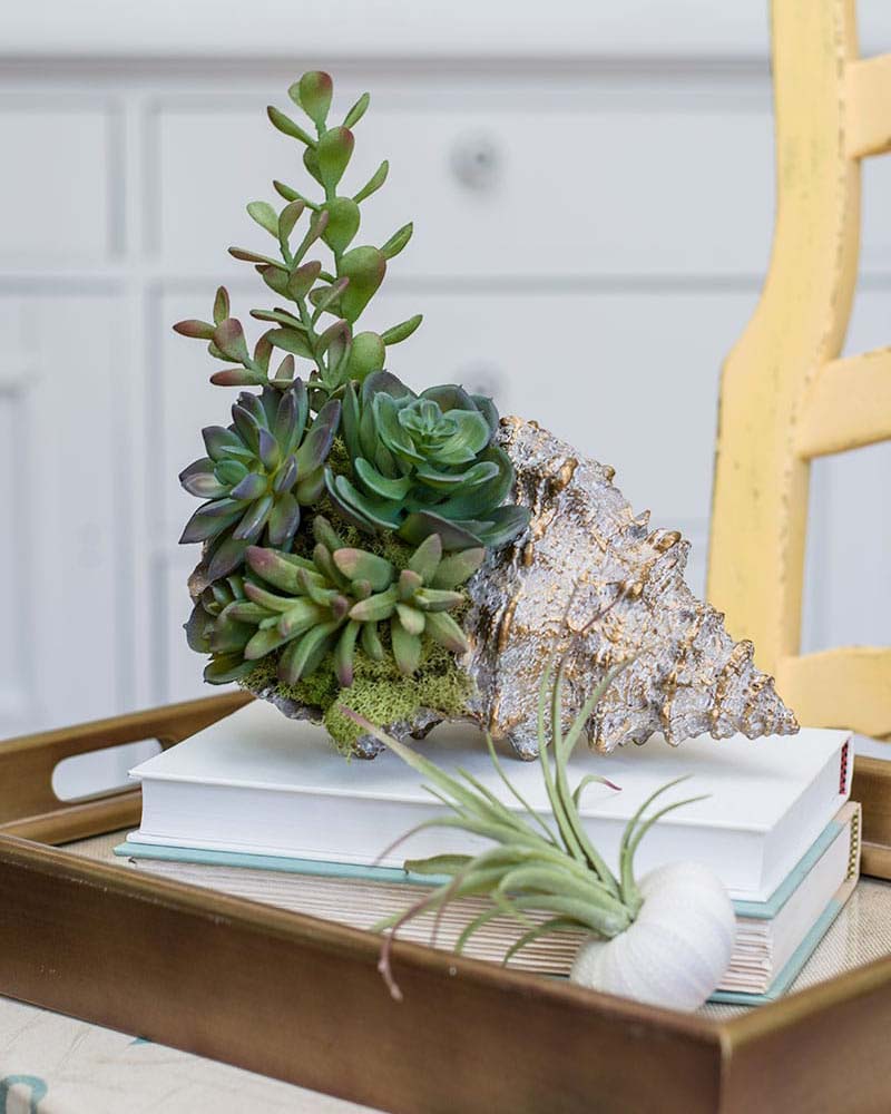 43 Creative Seashell Crafts & Coastal Decors • Craft Passion